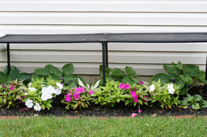 Protecting Your Plants From Excess Sunlight | Plantum