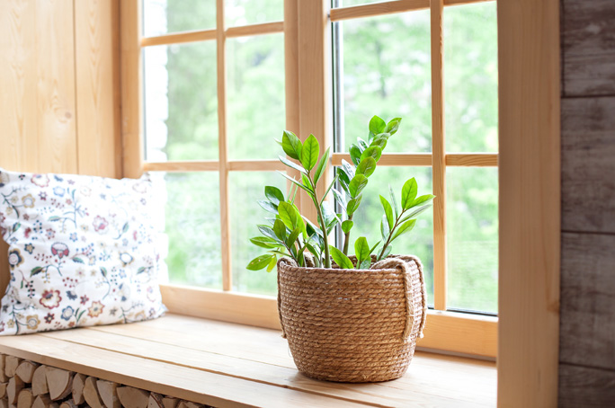 Choosing the Best Lighting for Your Plants | Plantum