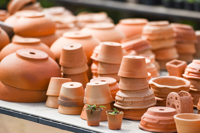 A Guide to Choosing the Best Pot for Your Plant | Plantum