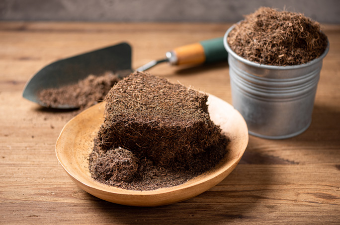 Growing Media for Indoor Plants | Plantum