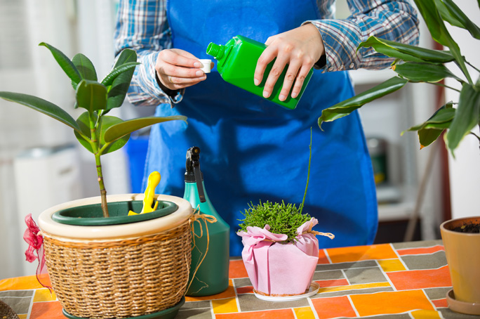 Getting To Know Fertilizers | Plantum