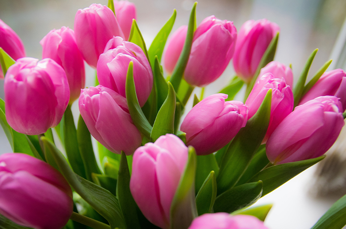 Best-Ever Blooms for Women's Day