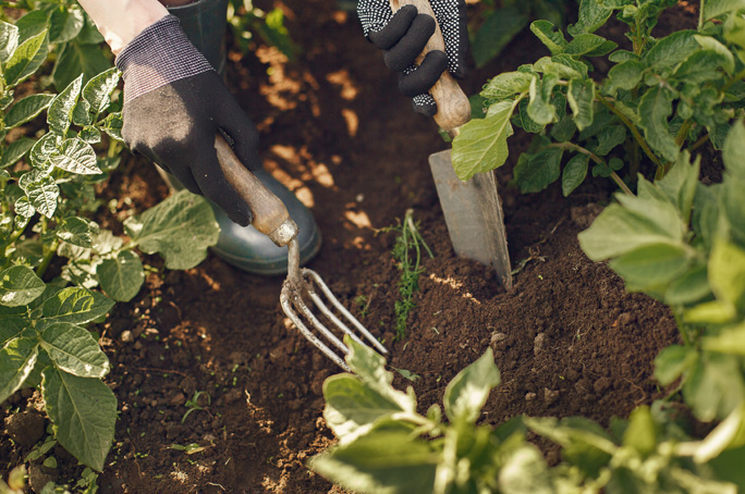 Fall Soil Care | Plantum