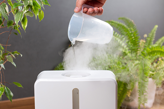 All About Humidifiers | Plantum