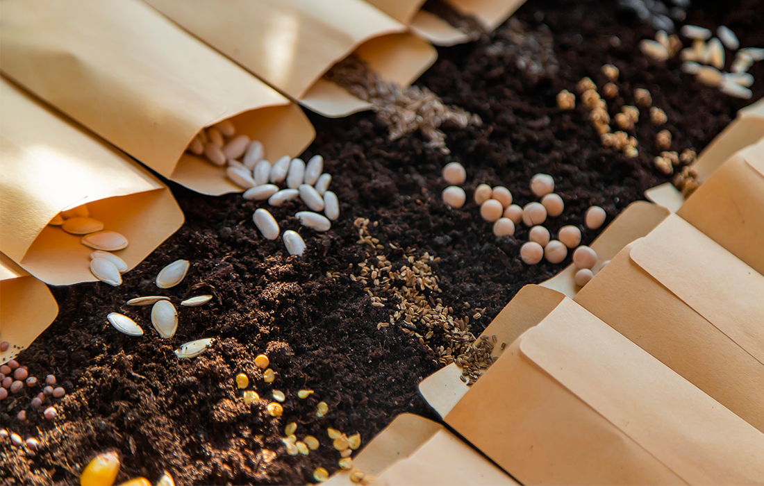 Save Those Seeds! Grow a Garden From Scratch | Plant Identifier App ...
